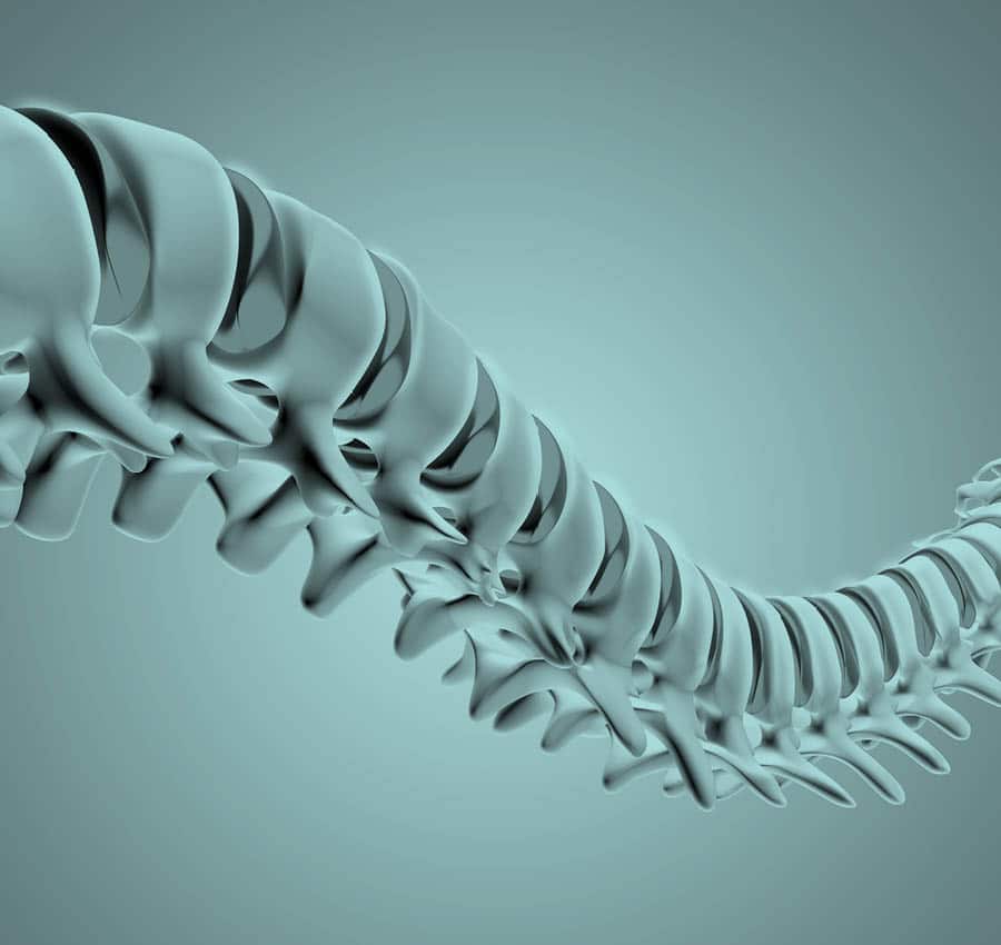 Spinal Exercises | Mount Med Resort | Tirol